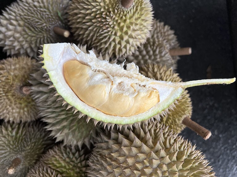 22 Exotic Brown Fruits You May Not Know 2023