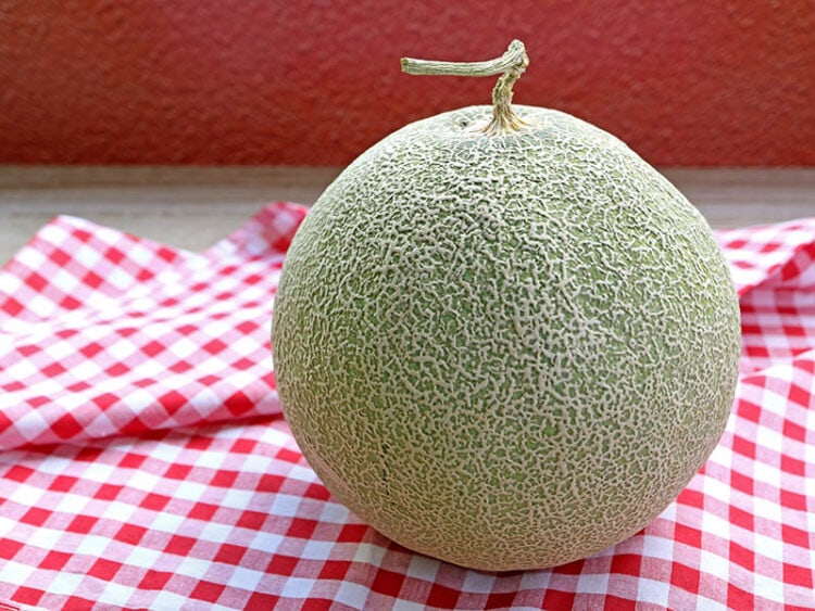 Top 24 Gray Foods Making Waves in 2024