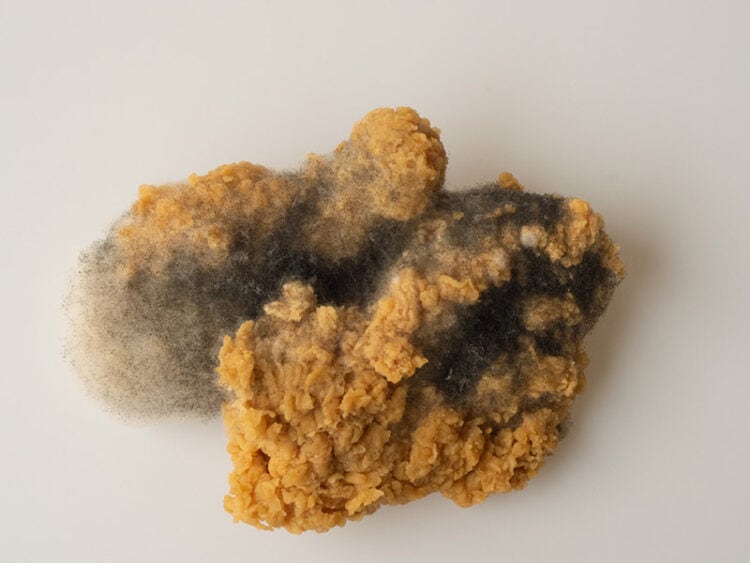Dos and Don'ts for Cooked Chicken Left Out Overnight