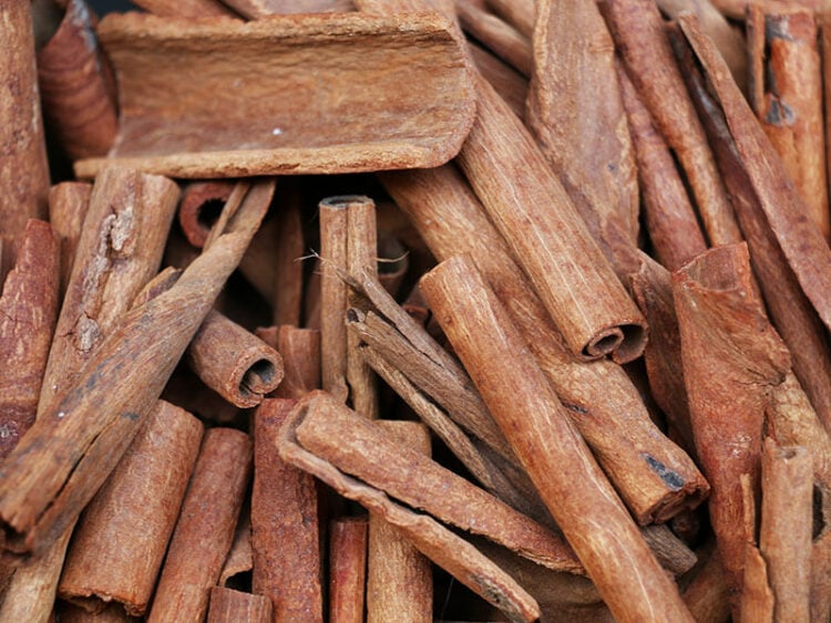 4 Different Types of Cinnamon to Know
