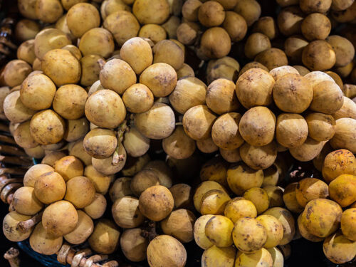 22 Exotic Brown Fruits You May Not Know 2023