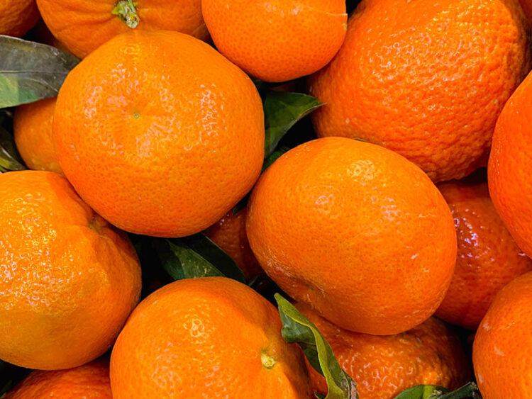 Ultimate List of 20 Orange Fruits