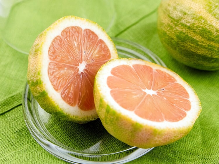 Pink Lemonade vs. Regular Lemonade: Differences