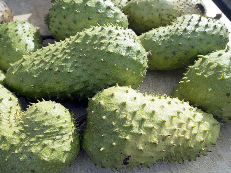 27+ Most Popular Hawaiian Fruits to Taste