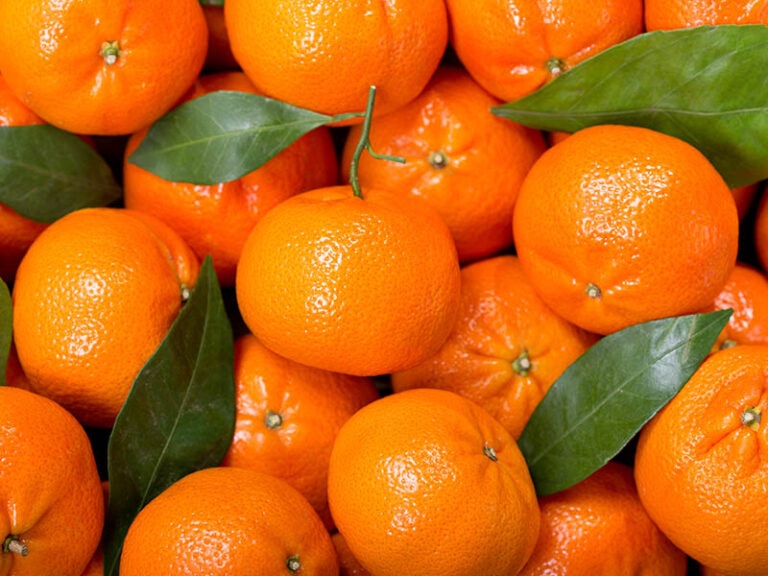 Ultimate List of 20 Orange Fruits