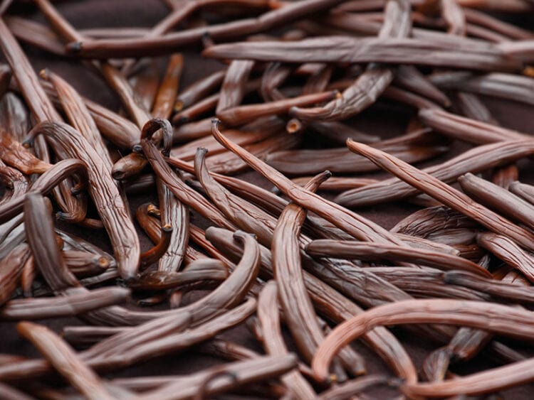 16 Fascinating Fruits That Start With V: A Complete Guide