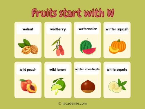 Top 27 Fruits That Start With W