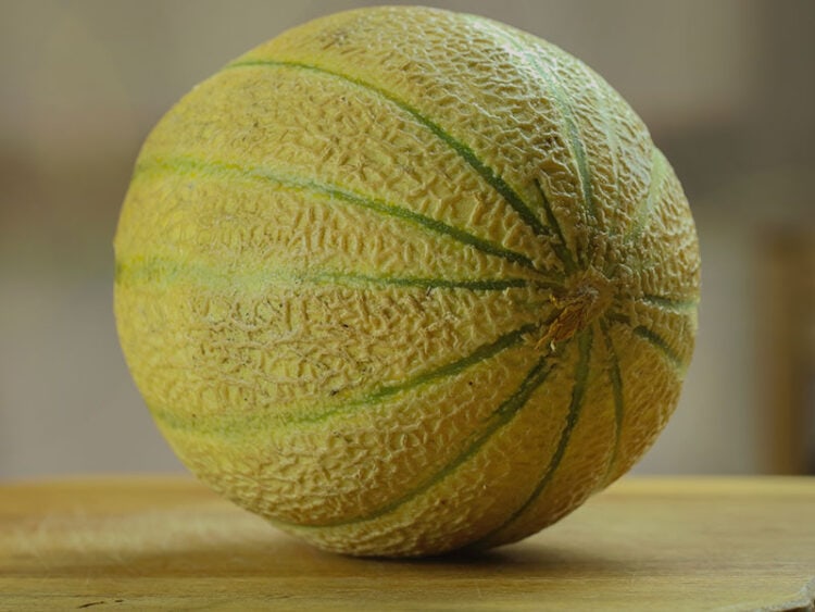 16 Z-Starting Fruits to Discover