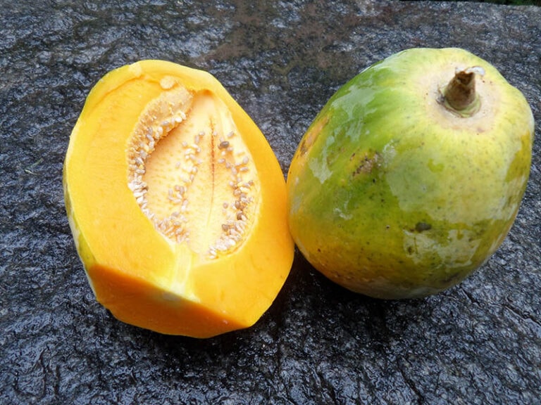 Ripeness Guide: How to Tell If a Papaya Is Ripe