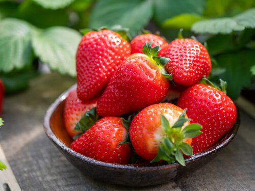 Raspberries vs. Strawberries: A 2024 Berry Comparison Guide