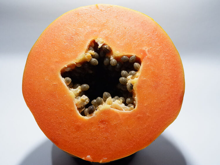 16 Different Types Of Papaya You Should Savor 2023