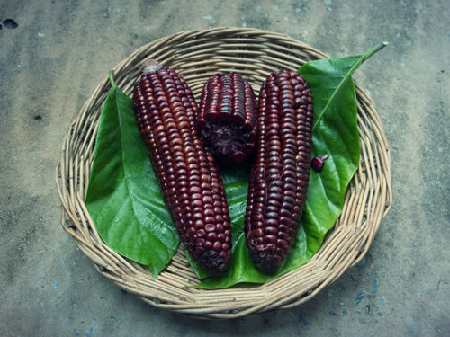 Discover 25 Black Foods in 2023: Global Cuisine!