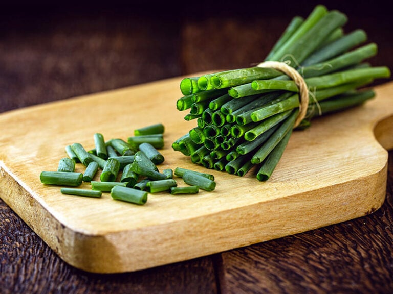 20 Essential Garnish Types to Elevate Your Dishes