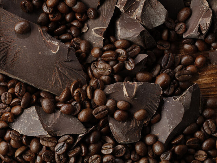 16 Must-Know Chocolate Types