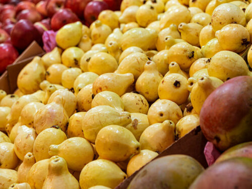 26 Different Types of Guava You May Not Know 2023