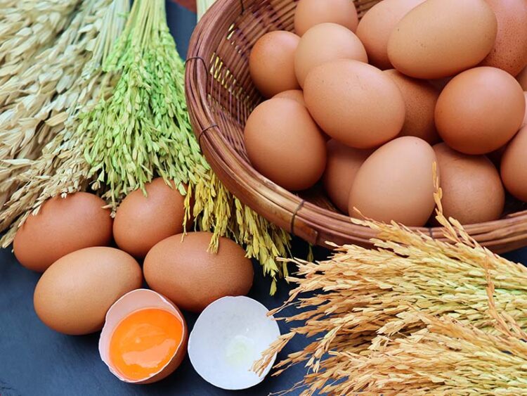 Left Eggs Out Overnight: Safety Guidelines