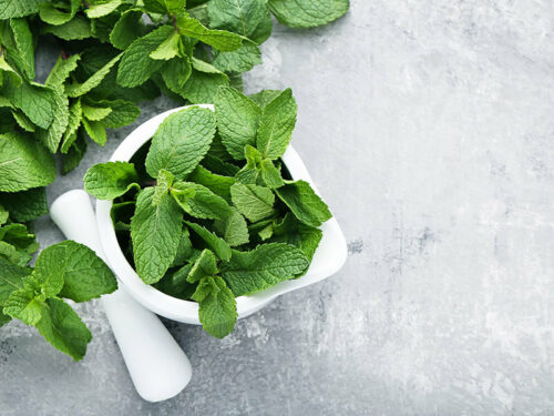 20 Essential Garnish Types to Elevate Your Dishes