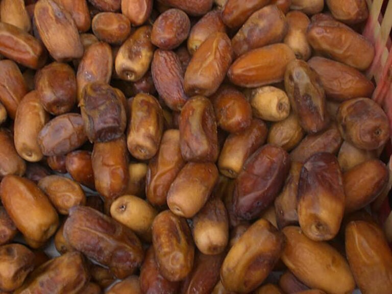 30 Different Types Of Dates You Can Refer To 2023