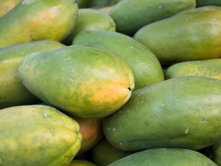 16 Different Types Of Papaya You Should Savor 2023