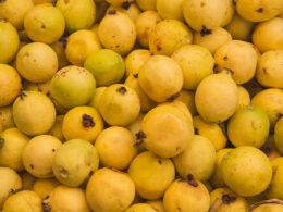 26 Different Types of Guava You May Not Know 2023