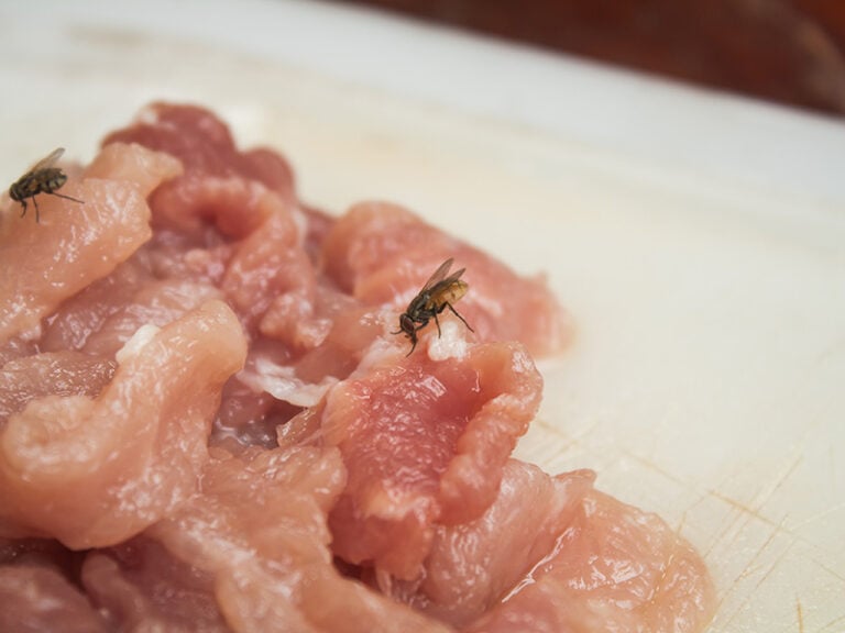 Recognizing Spoiled Pork: Signs to Watch