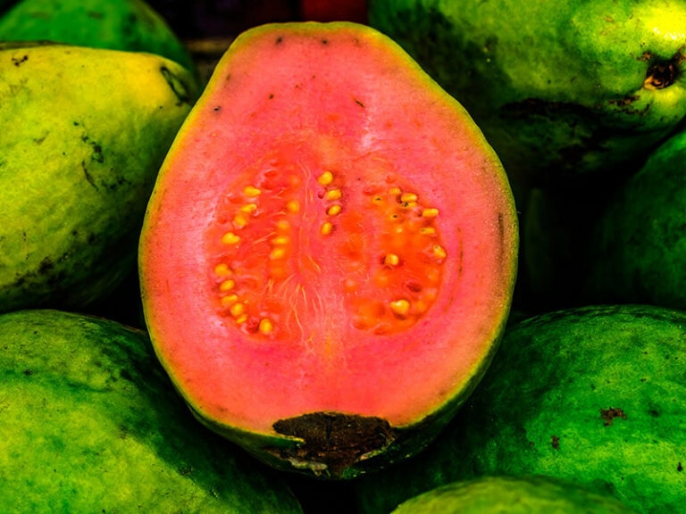 26 Different Types of Guava You May Not Know 2023