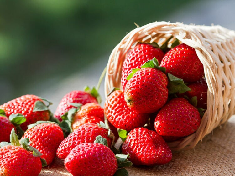 Raspberries vs. Strawberries: A Berry Comparison Guide