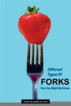 21 Unique Fork Types: A Comprehensive Guide for 2024