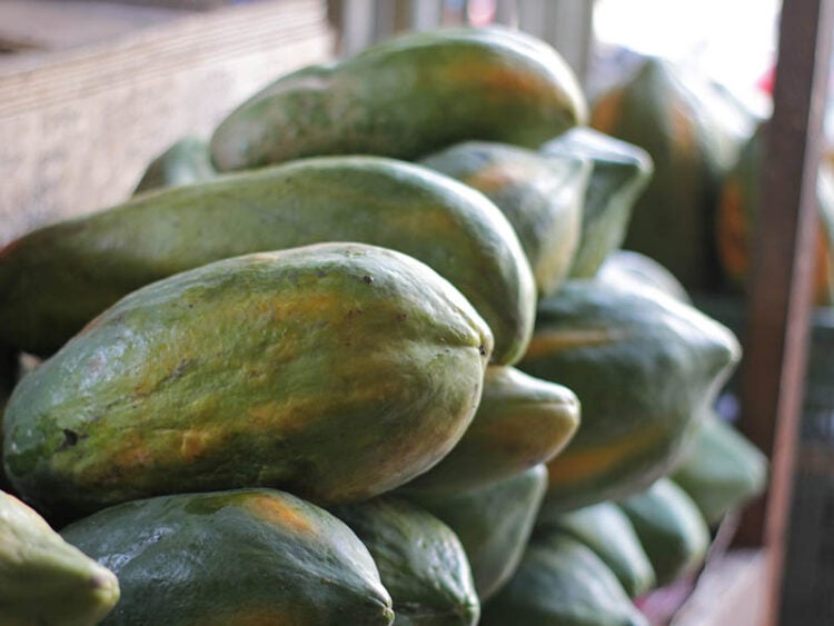 How to Cut and Eat a Papaya: Ultimate Guide