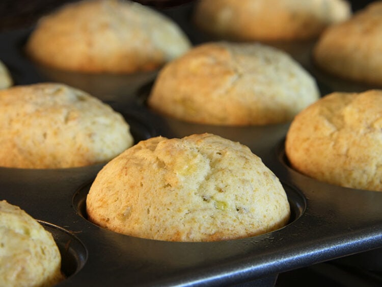 Convection Bake vs. Convection Roast: Which to Use in 2024 Convection Bake vs. Convection Roast: Which to Use in 2024