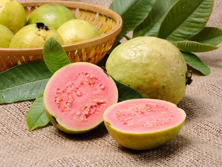 What Is Guava and How To Eat It? Detailed Guide