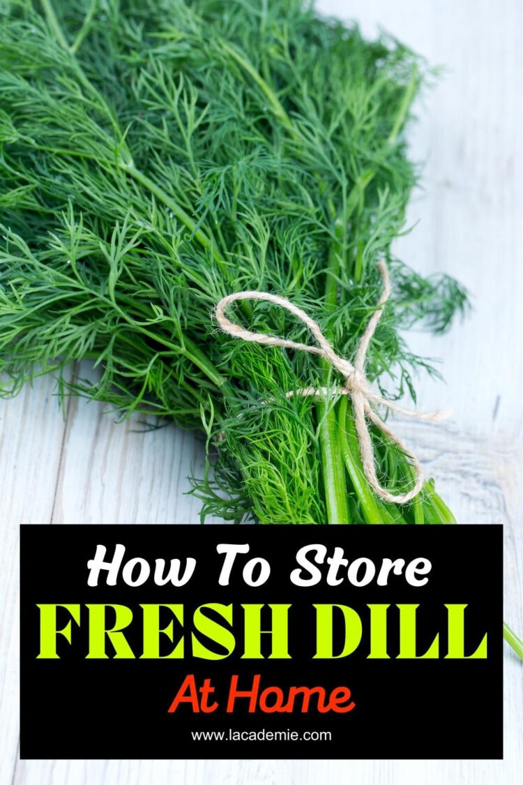 Top Methods for Storing Fresh Dill at Home