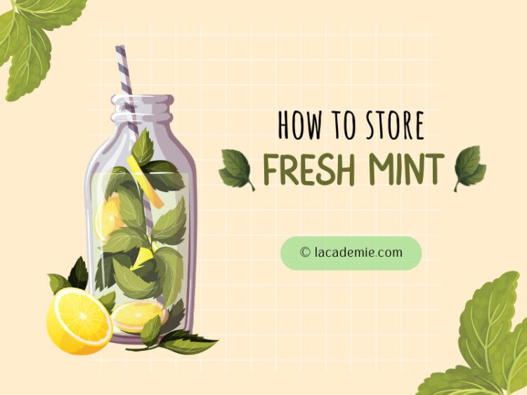 How To Store Fresh Mint Effectively: Top Storage Advice