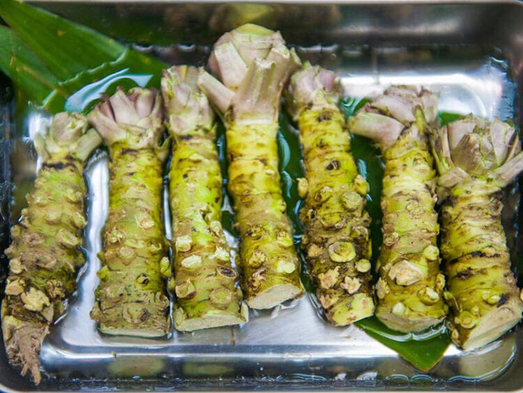 What Is Wasabi? Uncovering Its Secrets