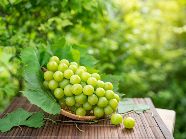 9 Delicious Seedless Fruits to Enjoy