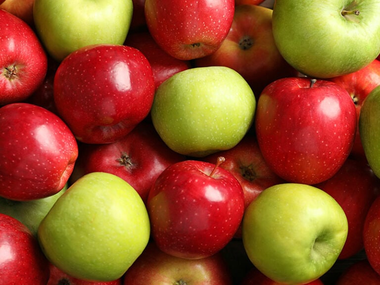 Green vs. Red Apples: Apple Comparison