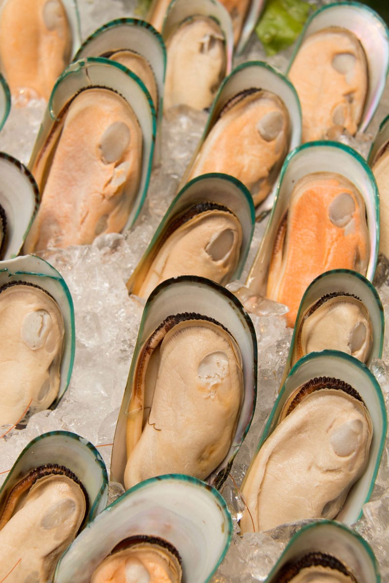 Green vs. Black Mussels: A Seafood Showdown