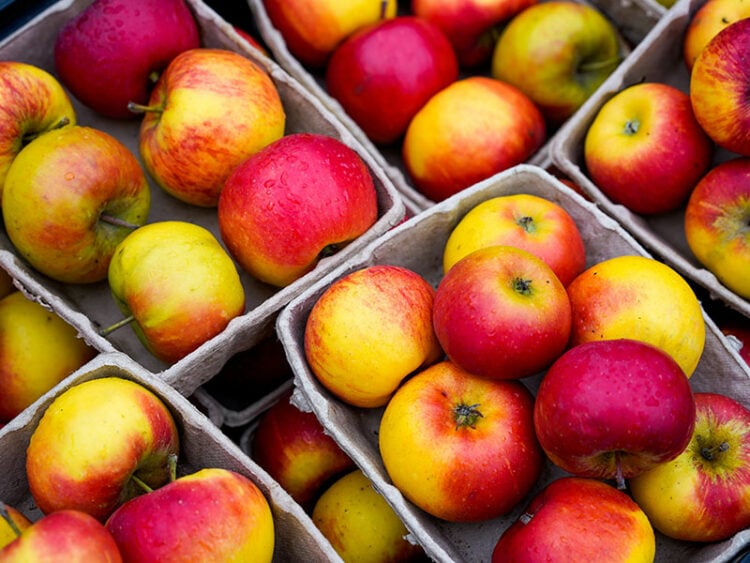 Green vs. Red Apples: Apple Comparison