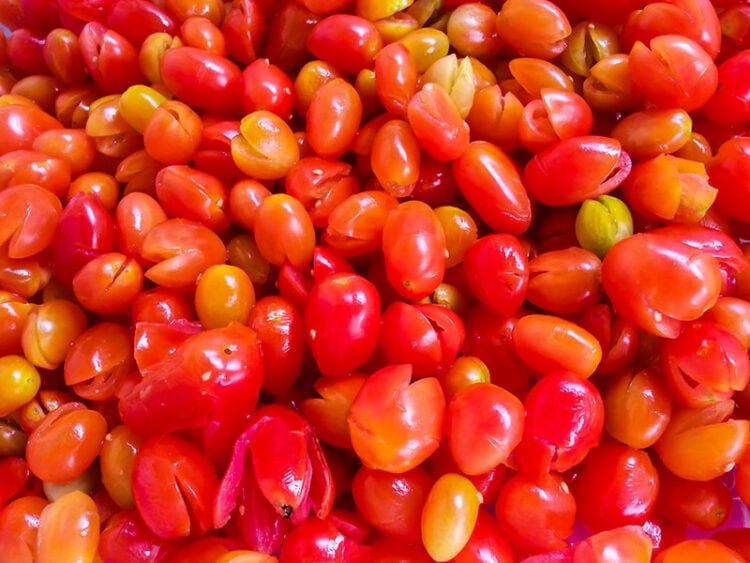 9 Delicious Seedless Fruits to Enjoy