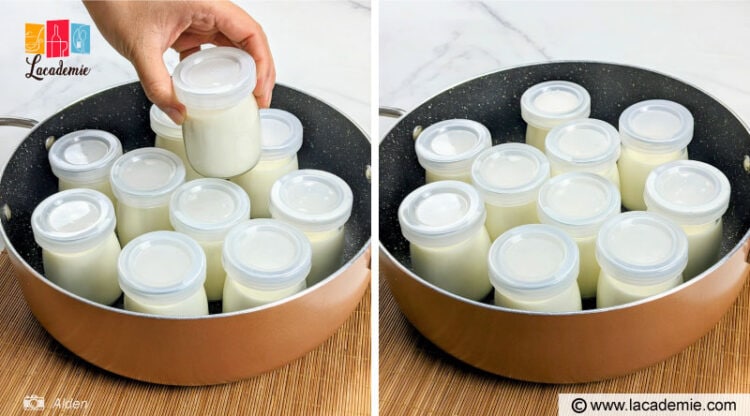 Easy And Tasty Vietnamese Yogurt (Sữa Chua)