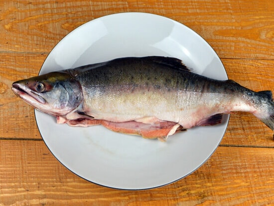 Chicken vs. Salmon: Comparison Guide