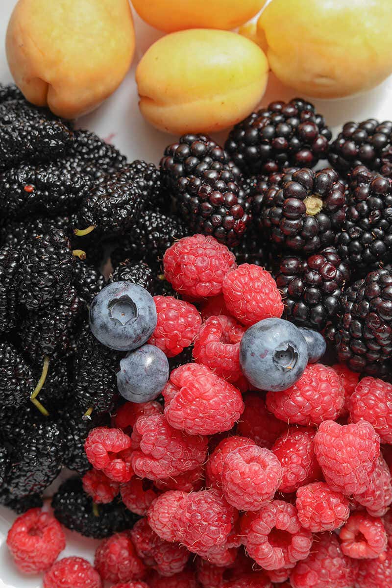 Blackberry vs. Mulberry: Berry Guide