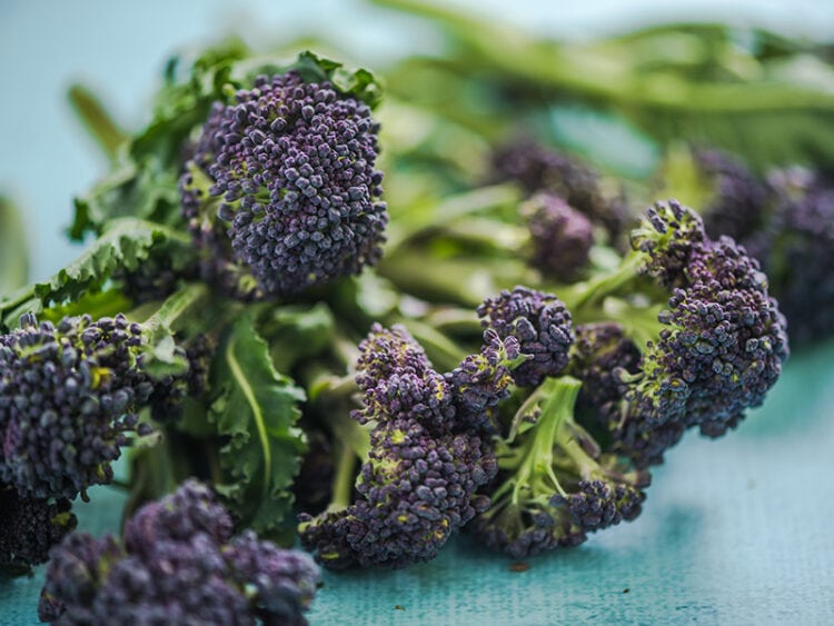 What Is Purple Broccoli? Everything You Need To Know