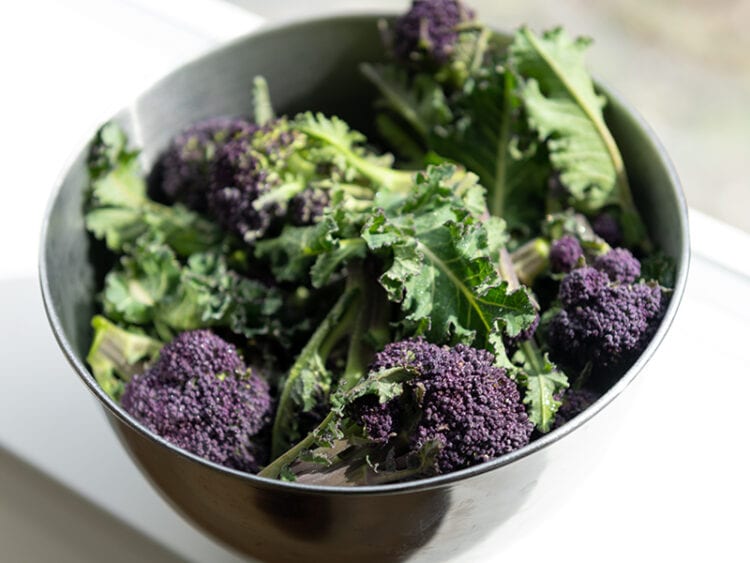 What Is Purple Broccoli? Everything You Need To Know