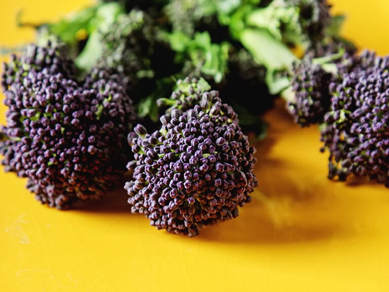 What Is Purple Broccoli? Everything You Need To Know