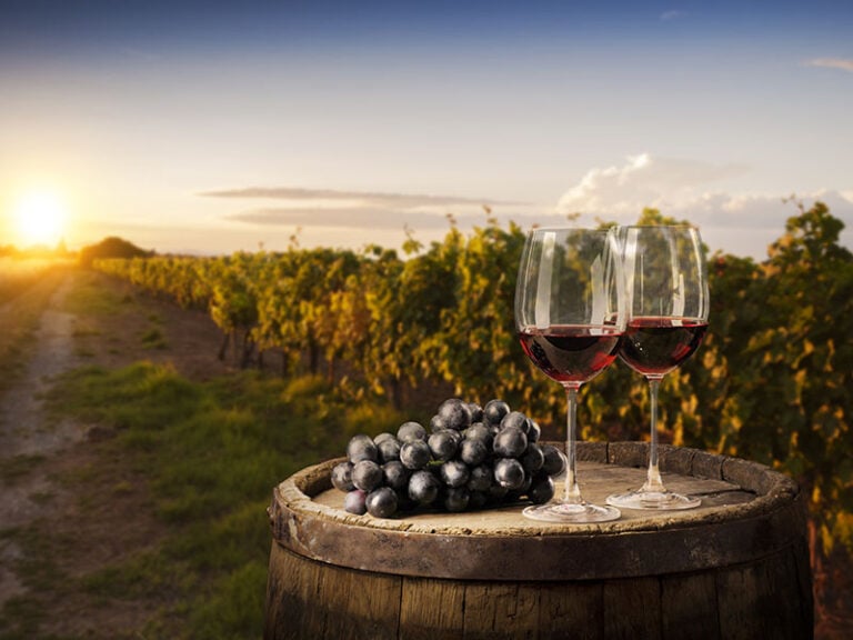 20 Bulgarian Drinks for Your Beverage Bucket List