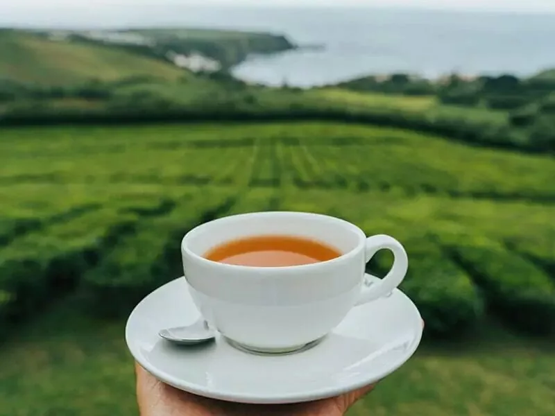 16 Most Popular Portuguese Drinks: Alcoholic and Non-Alcoholic