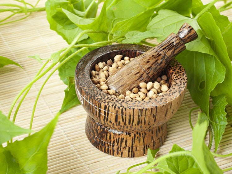 27 Essential Vietnamese Cooking Tools For Your Kitchen 2023