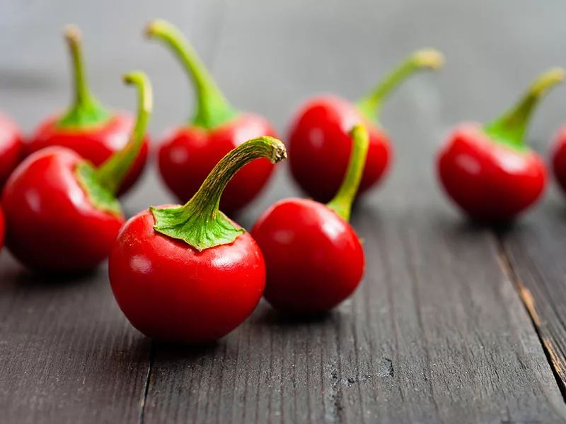 104 Best Foods That Start With P: Palatable Pleasures 2023