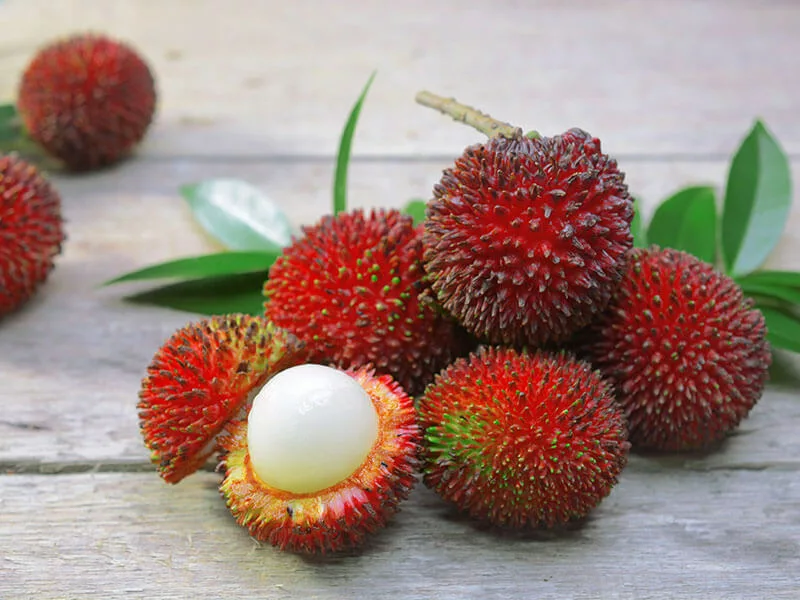 76 Most Popular Asian Fruits and Vegetables